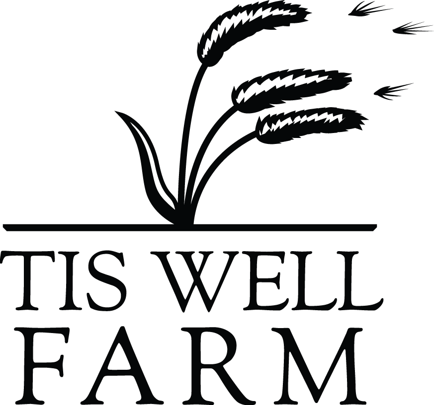 Shop All | Tis Well Farm